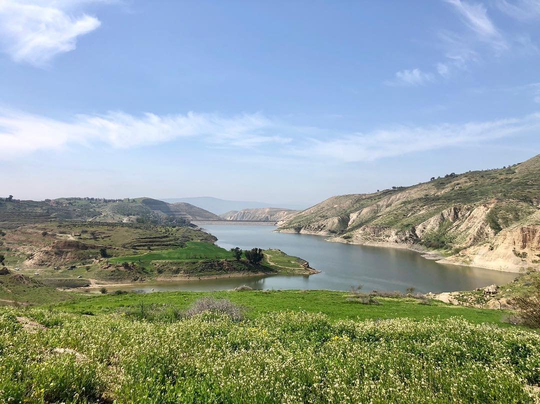 Umm Qais – Balqees Travel